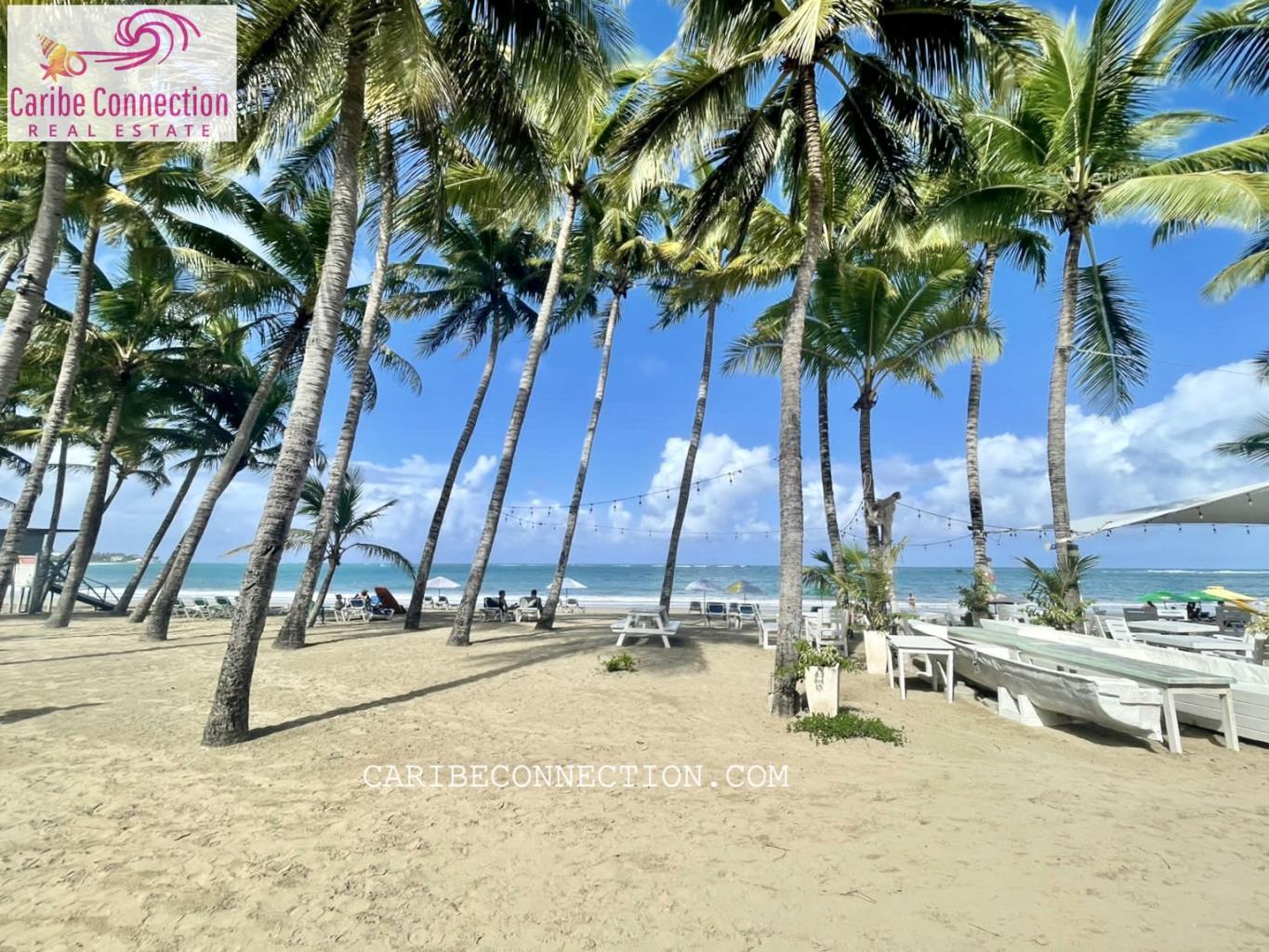Modern & Luxurious Beachfront Condo In The Center Of Cabarete Bay ...