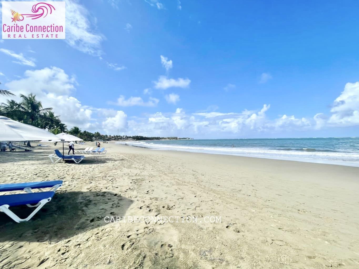 Modern & Luxurious Beachfront Condo In The Center Of Cabarete Bay ...