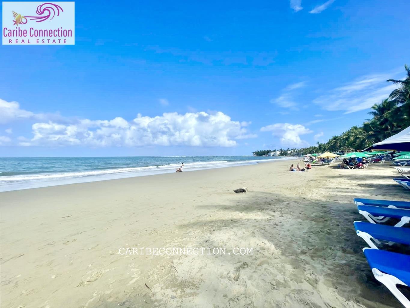 Modern & Luxurious Beachfront Condo In The Center Of Cabarete Bay ...